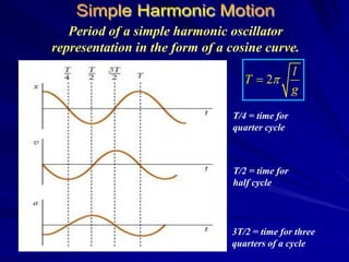 Simple Harmonic Motion.ppt