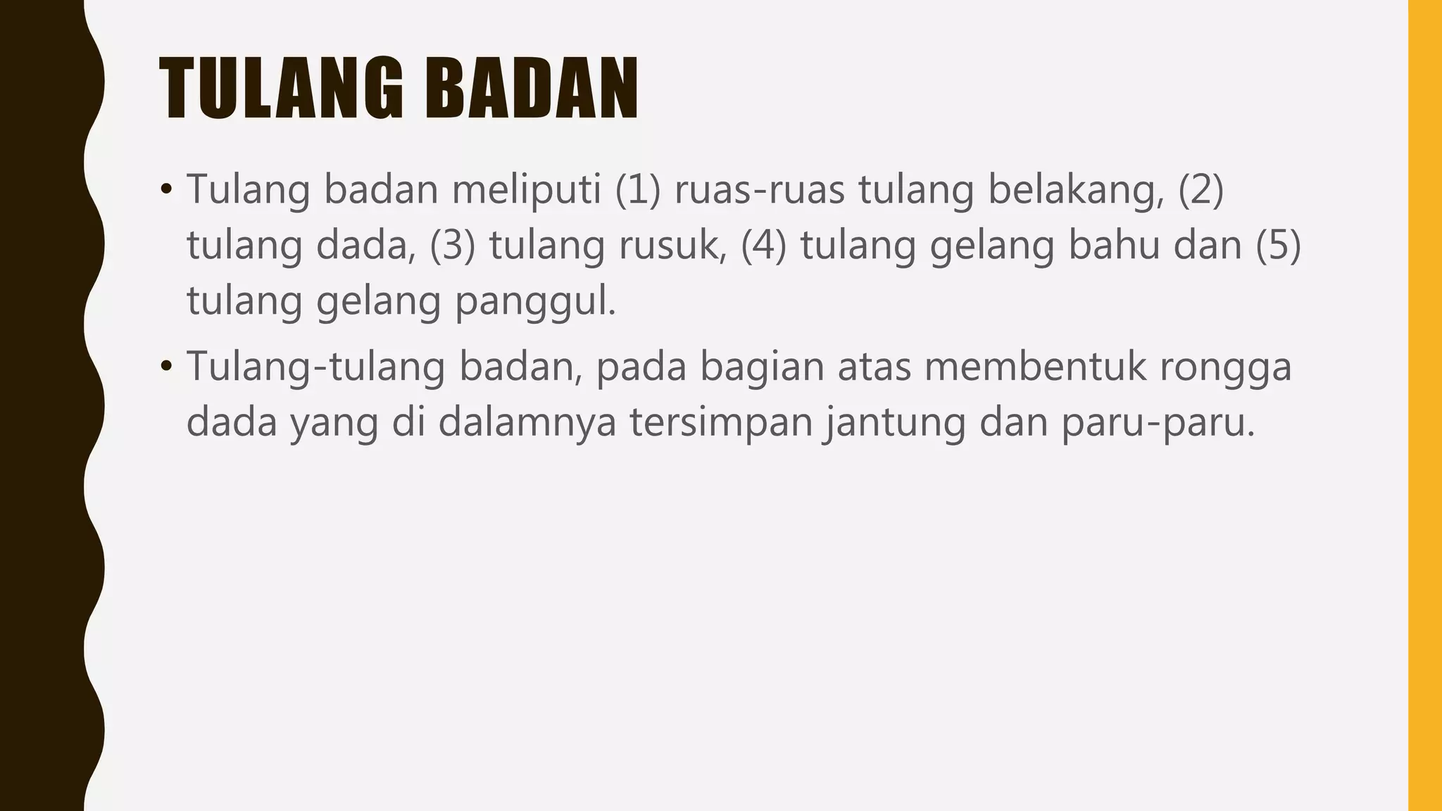 01 sistem gerak pada manusia rangka | PPTX