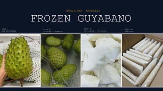 FROZEN FRUIT PUREE PROGRESS | PPT