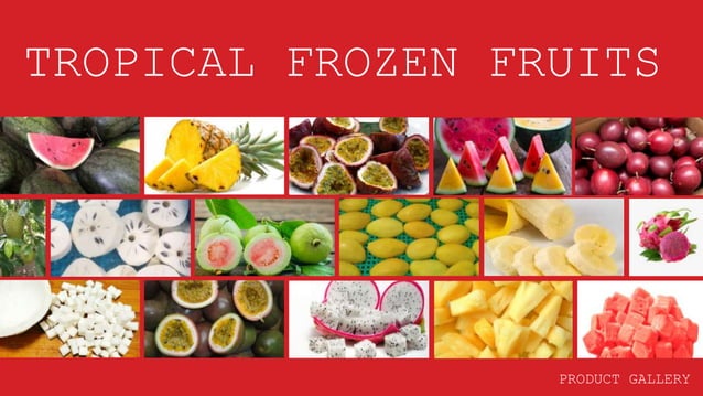 FROZEN FRUIT PUREE PROGRESS | PPT