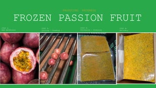 FROZEN FRUIT PUREE PROGRESS | PPT