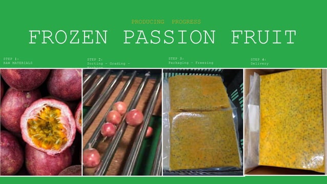 FROZEN FRUIT PUREE PROGRESS | PPT