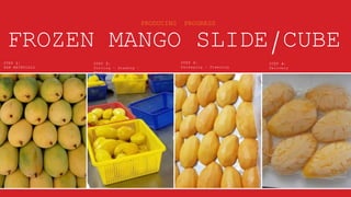 FROZEN FRUIT PUREE PROGRESS | PPT