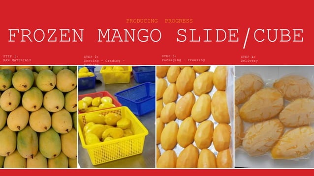 FROZEN FRUIT PUREE PROGRESS | PPT