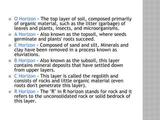 01 Soil Introduction for soil science .pptx.pdf