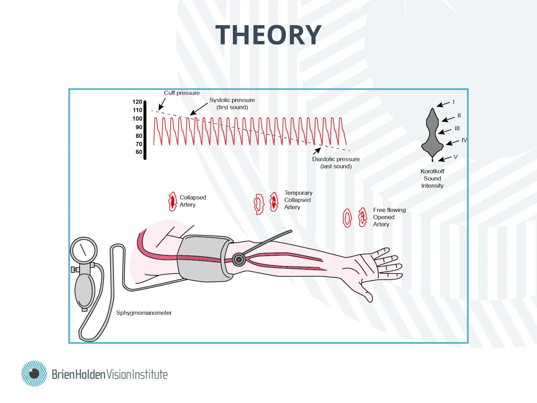 01 Sphygmomanometry for alied health pptx | PPTX