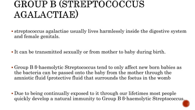 Streptococcal Infections Ppt