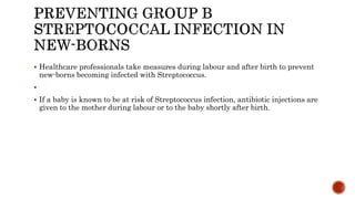 streptococcal infections | PPT