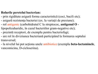 01 structura cel bacteriene (1) | PPT