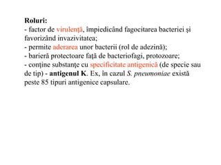 01 structura cel bacteriene (1) | PPT