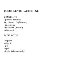 01 structura cel bacteriene (1) | PDF