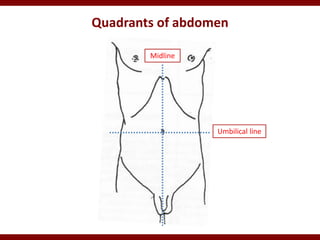 01_Structure_and_functions_of_liver.ppt