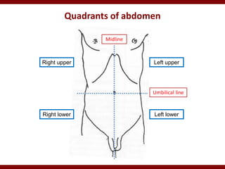01_Structure_and_functions_of_liver.ppt