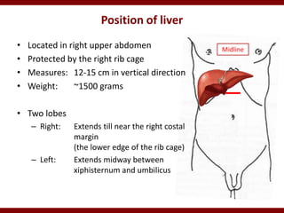01_Structure_and_functions_of_liver.ppt