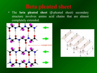 structure, properties and biological functions of proteins. | PPT