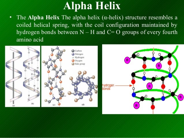 structure, properties and biological functions of proteins.
