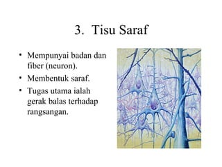 01 struktur asas badan pbsm | PPT