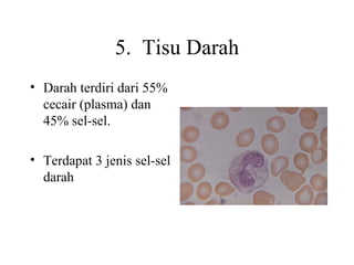01 struktur asas badan pbsm | PPT