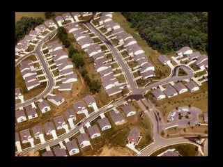 Megapolis 2025 / Kaupunkien rytmit – Pauliina Jalonen (Dodo) | PPT