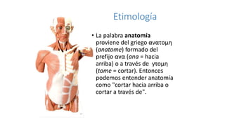 01_Tema_para_clase_generalidades_anatomia[1].pdf