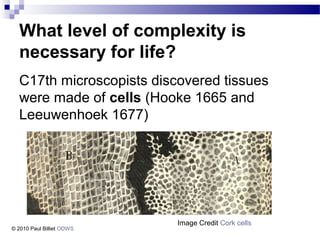 01 the cell_theory | PPT