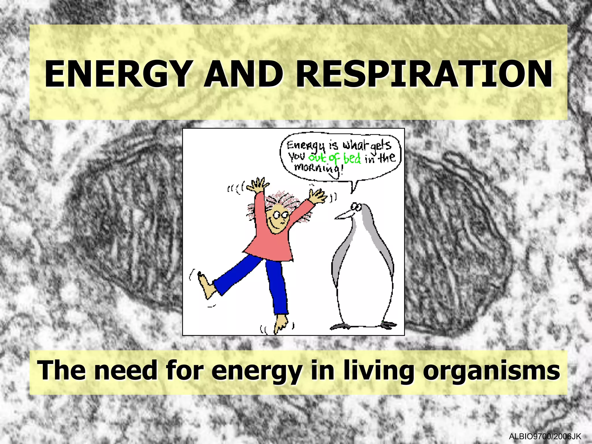 01 The need for Energy in Living Organisms | PPT