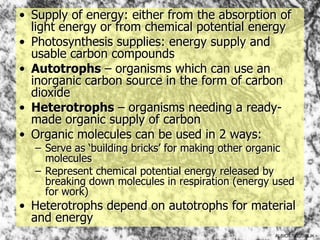 01 The need for Energy in Living Organisms | PPT