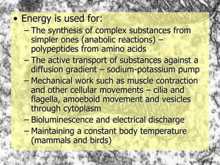 01 The need for Energy in Living Organisms | PPT