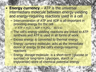 01 The need for Energy in Living Organisms | PPT