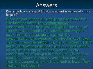 01 The Respiratory System | PPT