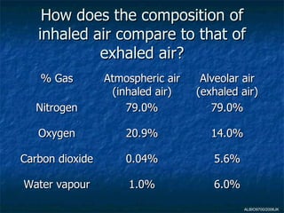 01 The Respiratory System | PPT