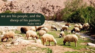 The Good Shepherd and Straying Sheep | PDF