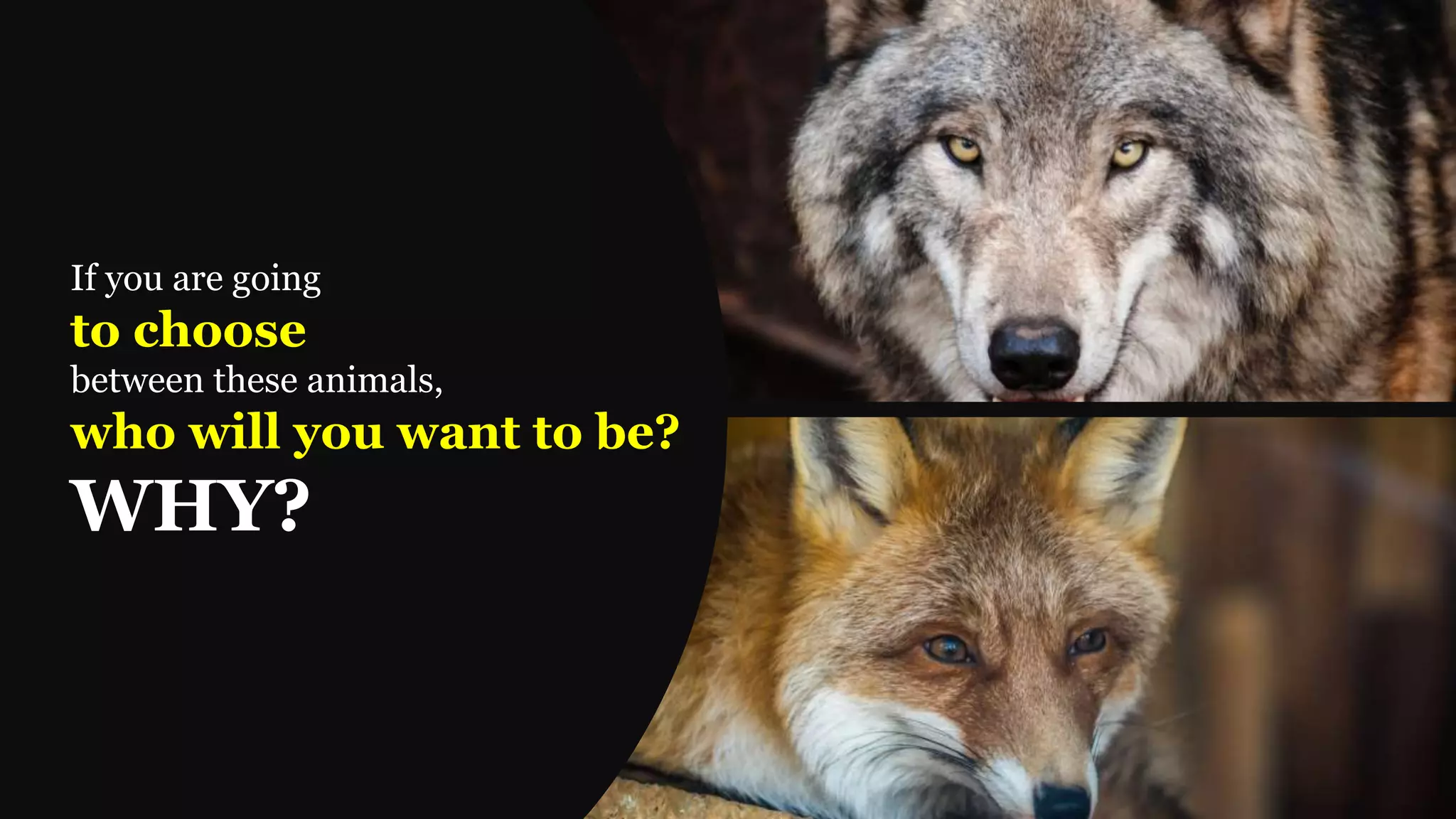 The Sly Fox (Noting Significant Details) | PPTX