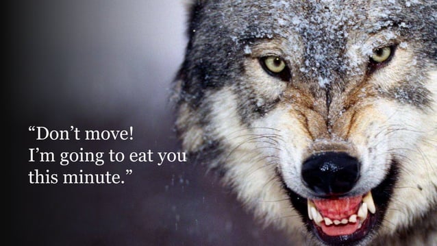 The Sly Fox (Noting Significant Details) | PPTX | Dogs | Pets