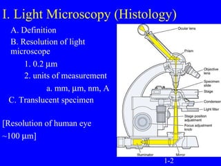 Bacteriology midterms | PPT | Chemistry | Science