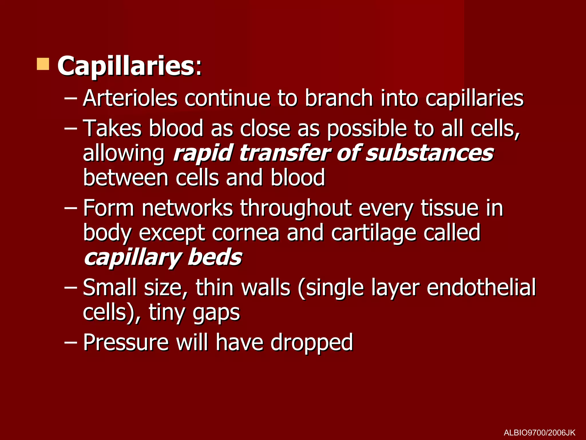 01 Transport System in Mammals | PPT