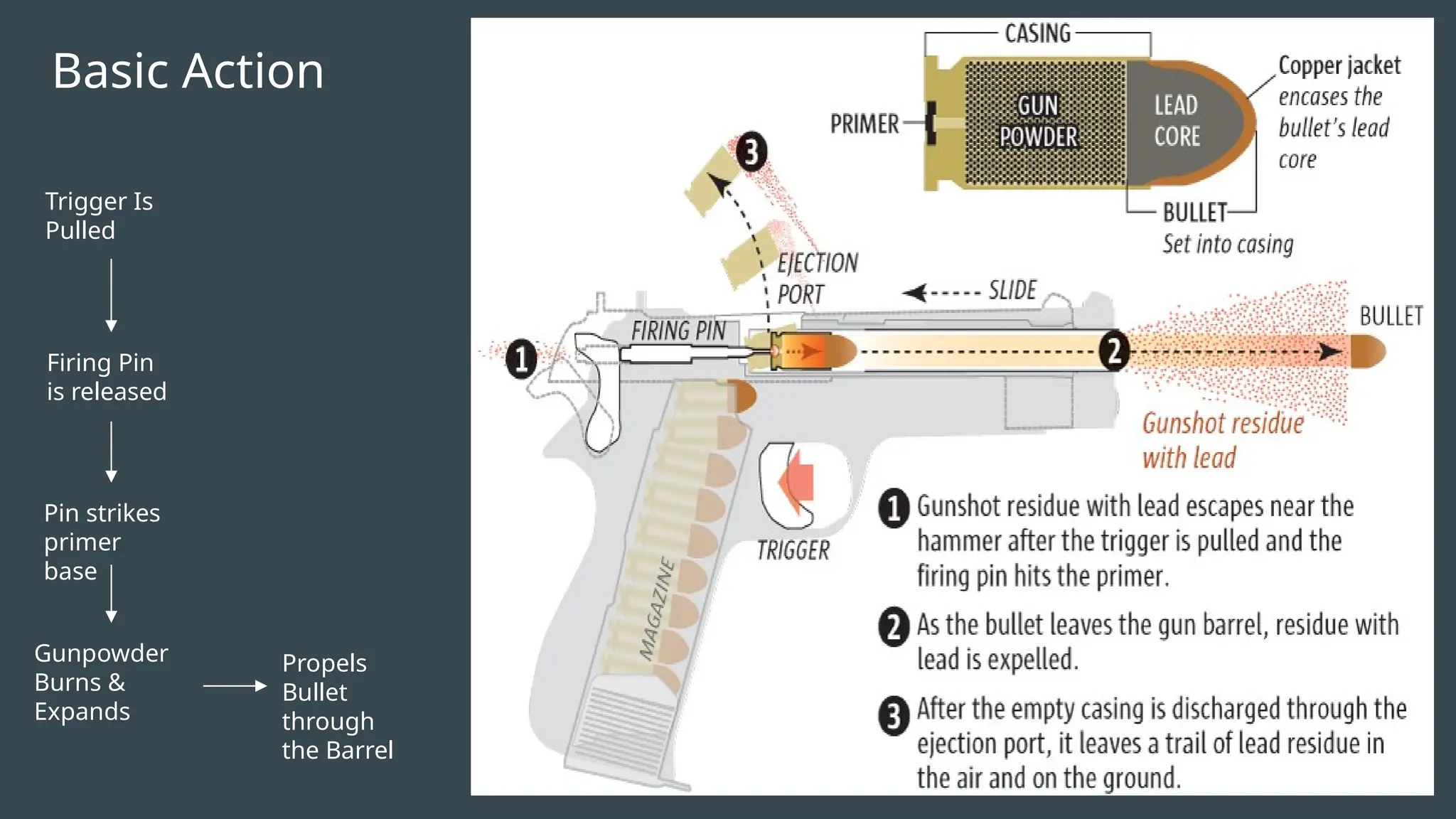 Basics of Guns for Criminal Law Stakeholders | PPT