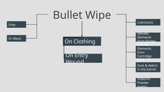 Basics of Guns for Criminal Law Stakeholders | PPT
