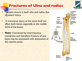 GROSS ANATOMY OF HUMAN UPPER LIMB WITH INNERVATIONS | PDF
