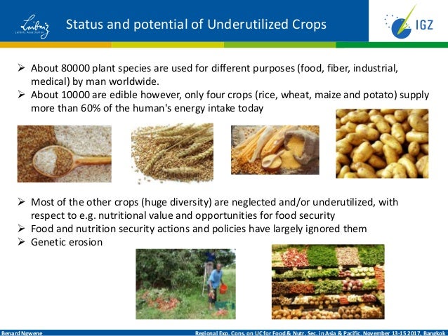 Underutilized Crops for Food and Nutritional Security: Global Scenari…