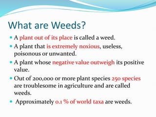 01_Weeds_Agricultural_Perspective.pptx