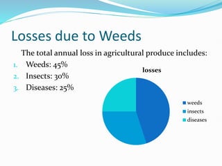 01_Weeds_Agricultural_Perspective.pptx