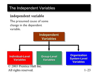 What Is Organizational Behaviour | PPT