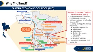 Why Thailand? | PDF