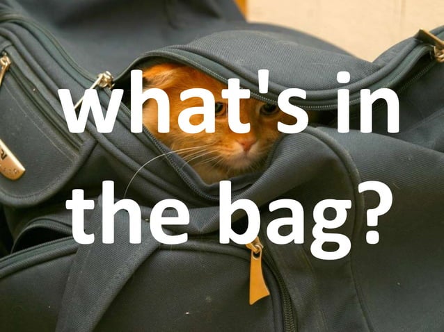 01 year 1 pdp assumed knowledge | PPT | Education