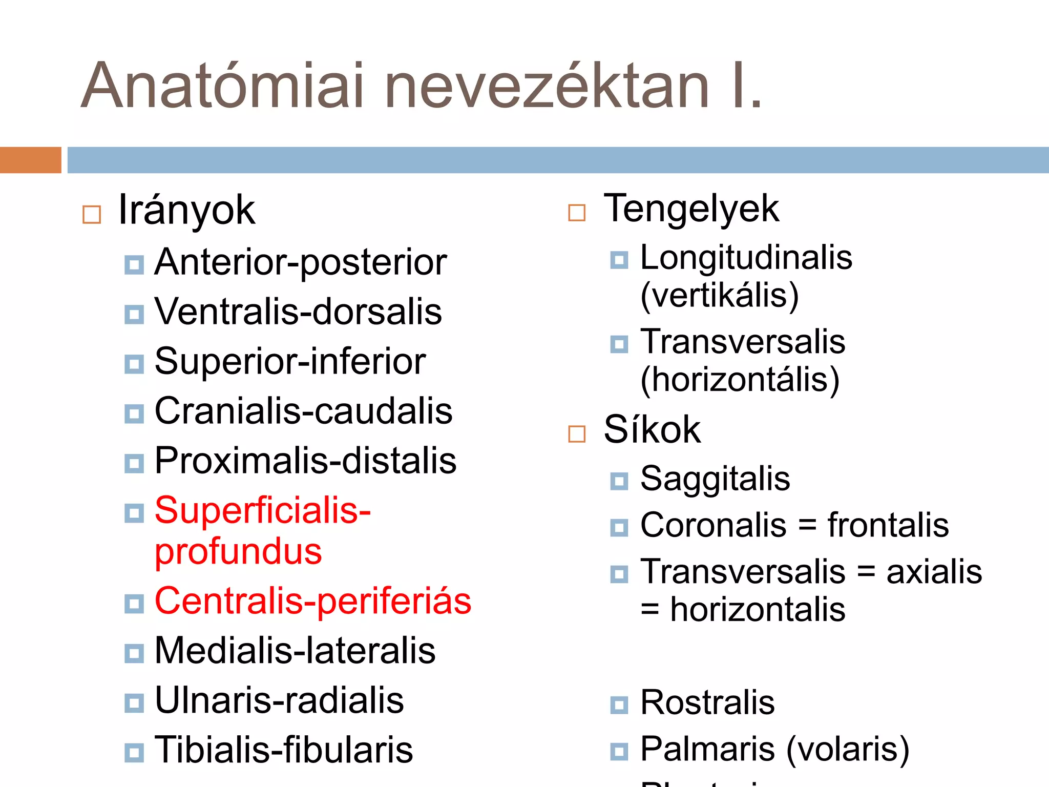 02 - Funkcionális Anatómia (OLKD, I. évf.): Izomtan, ízületek | PPTX