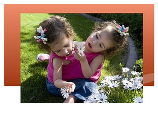 τα σιαμαια διδυμα 02 | PPT