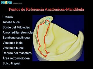 02. anatomia | PDF