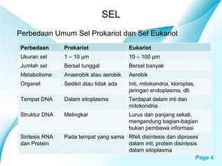 BIOMOLEKUL | PPT