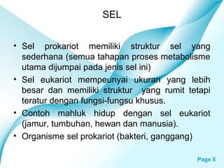 BIOMOLEKUL | PPT
